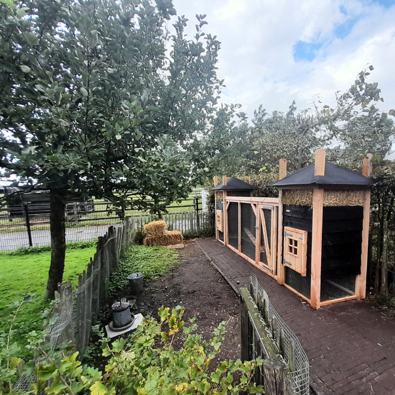 Kippenhok Hooiberg Carlo met dubbel nachthok en kippenren– Kippenvilla.nl