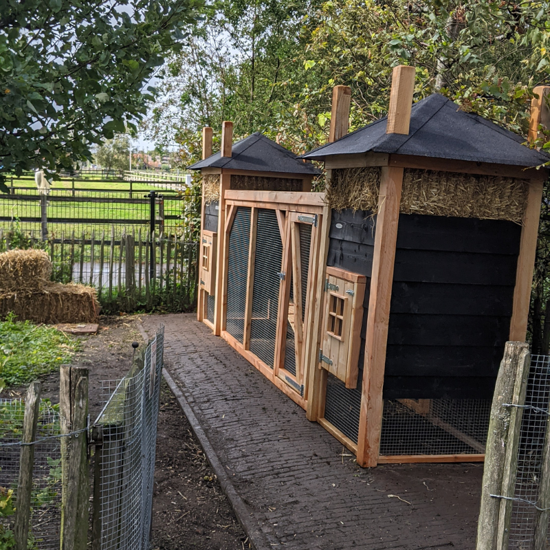 Kippenhok Hooiberg Carlo met dubbel nachthok en kippenren– Kippenvilla.nl